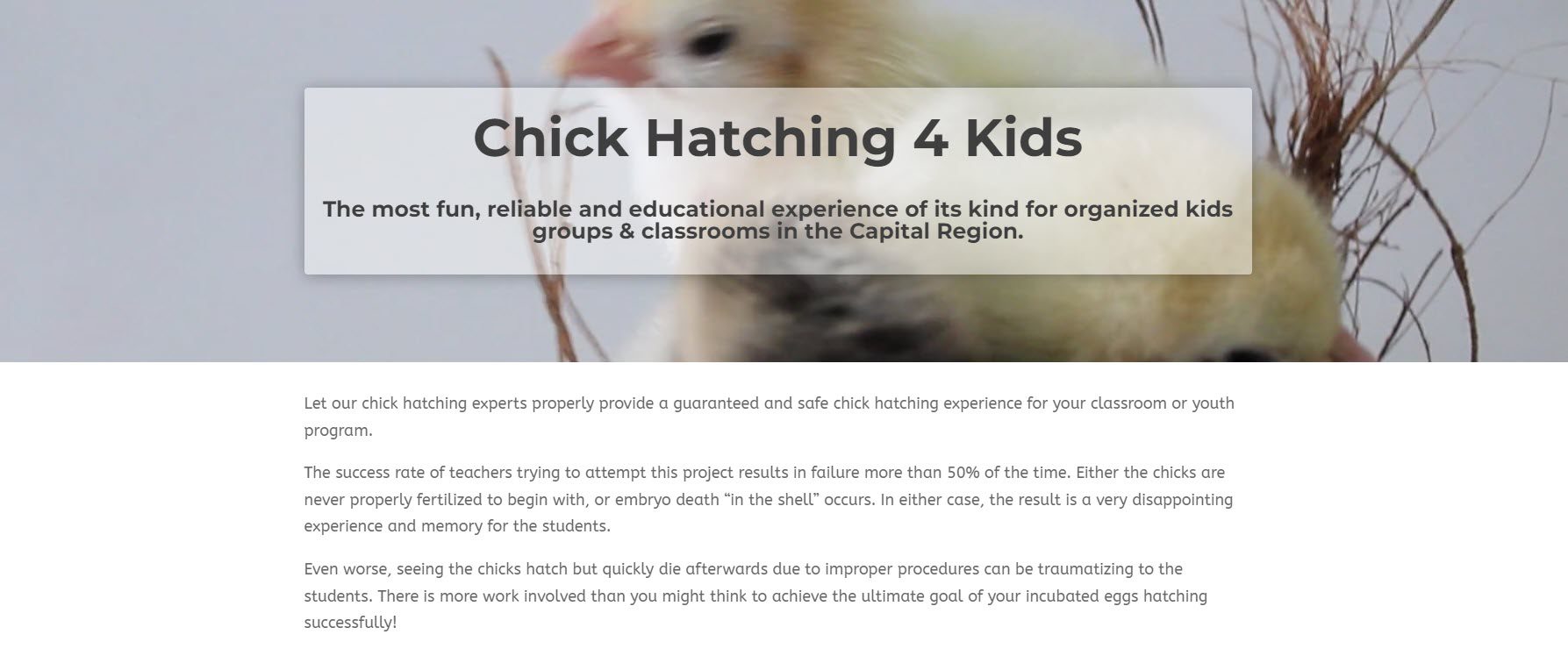 New WordPress Website for Chick Hatching For Kids
